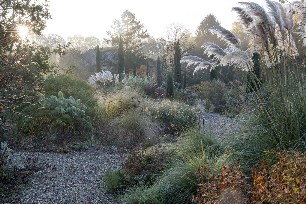 Garten – Peter Janke Gartenkonzepte