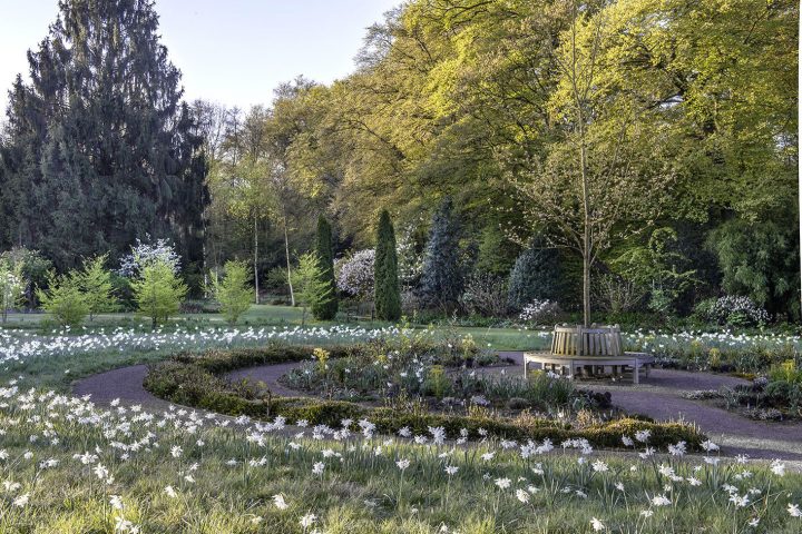 Garten – Peter Janke Gartenkonzepte