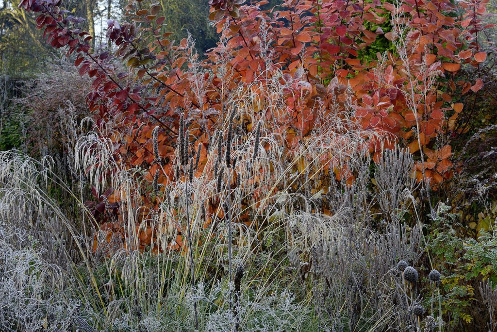 Peter Janke Gartenkonzepte – Gartenplanung, Staudengärtnerei, Floristik