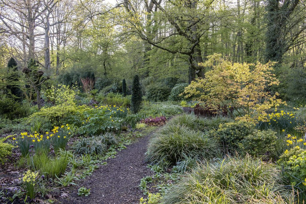 Galerie – Peter Janke Gartenkonzepte