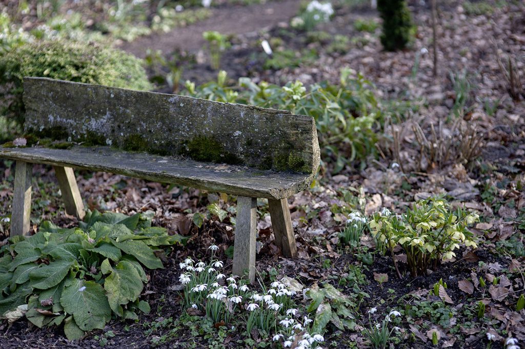 Peter Janke Gartenkonzepte – Gartenplanung, Staudengärtnerei, Floristik