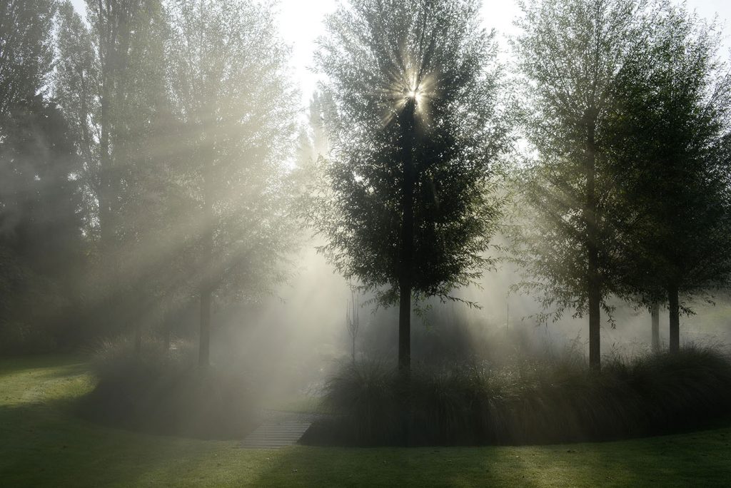 Garten – Peter Janke Gartenkonzepte