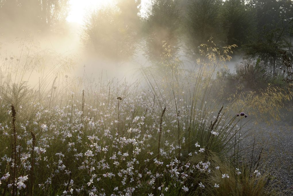 Garten – Peter Janke Gartenkonzepte
