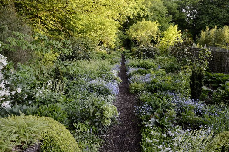 Plants – Peter Janke Gartenkonzepte