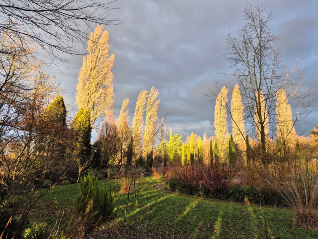 Peter Janke Gartenkonzepte – Gartenplanung, Staudengärtnerei, Floristik