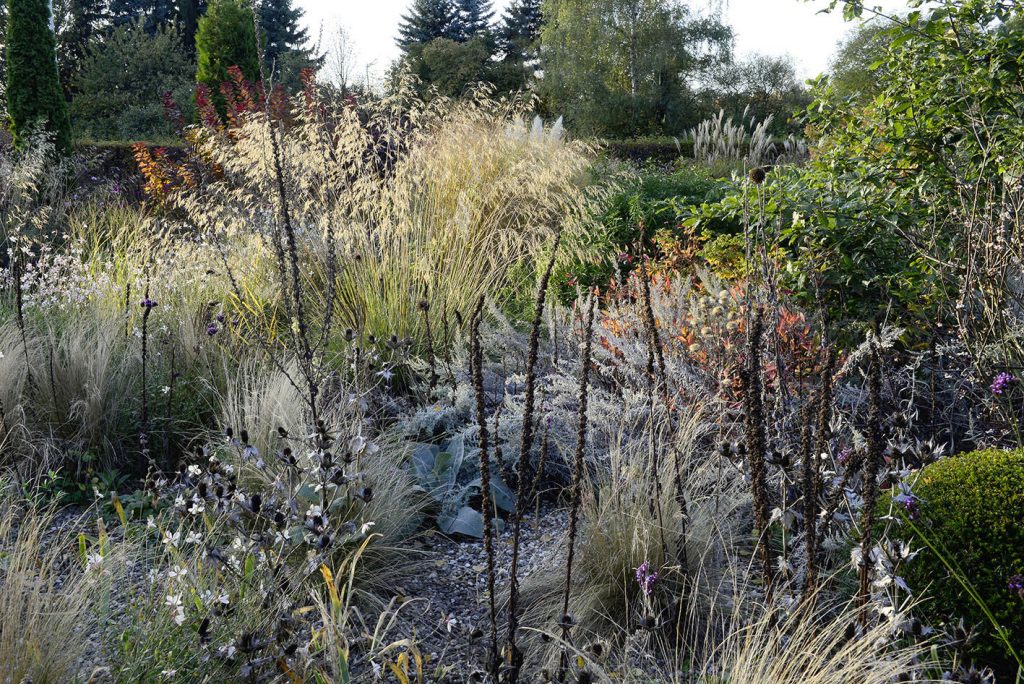 Garden – Peter Janke Gartenkonzepte