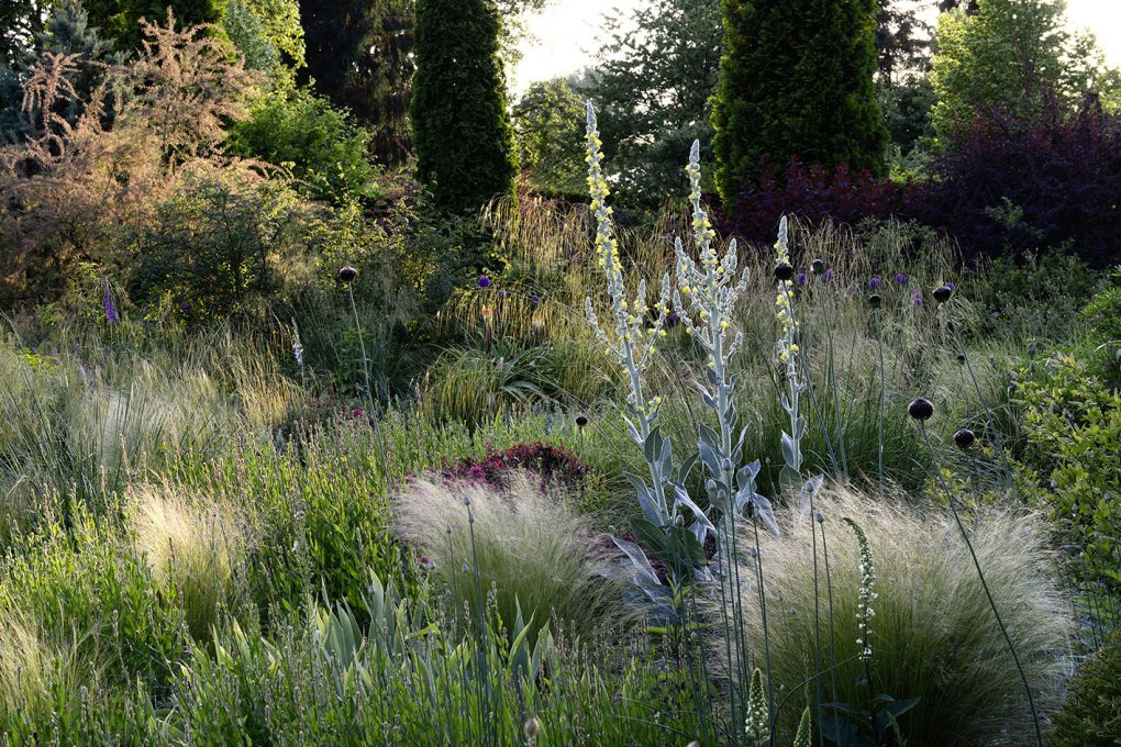 Peter Janke Gartenkonzepte – Gartenplanung, Staudengärtnerei, Floristik