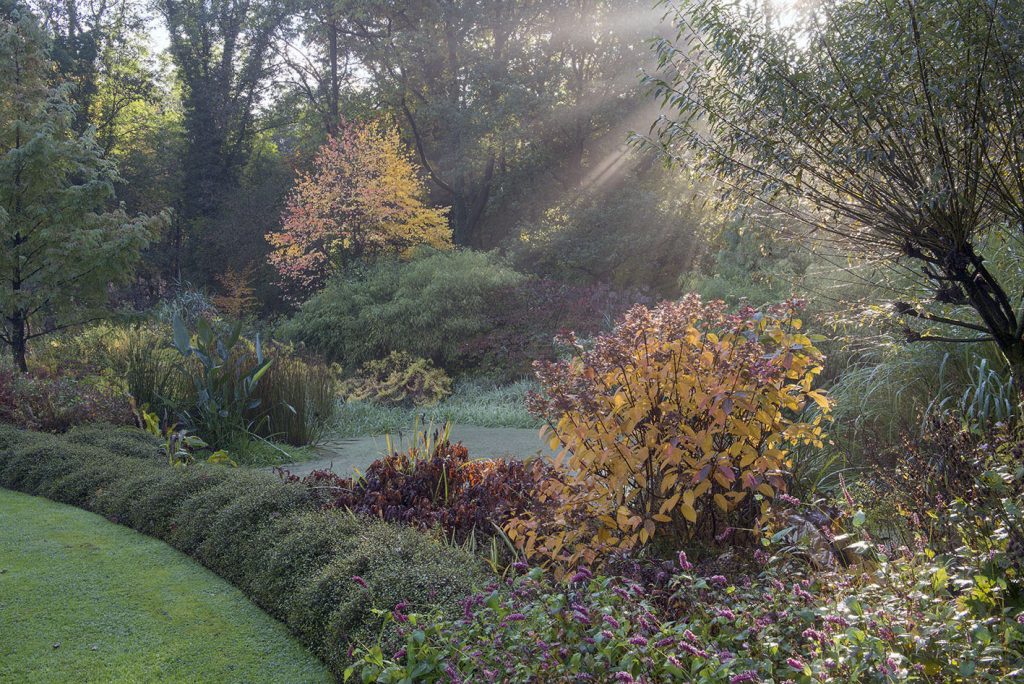 Galerie – Peter Janke Gartenkonzepte