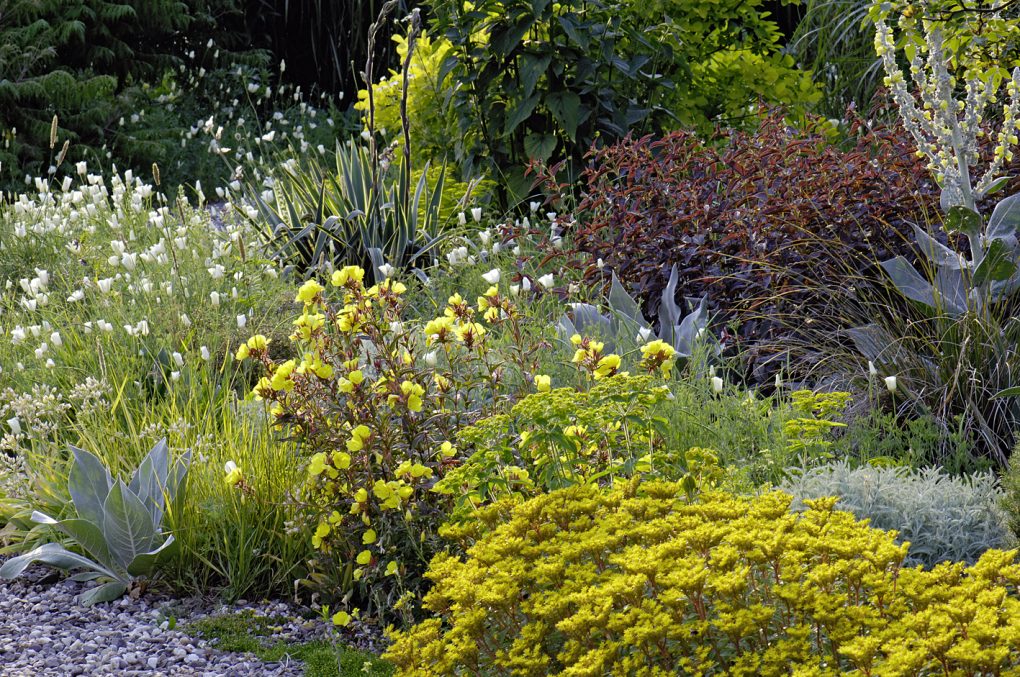 Peter Janke Gartenkonzepte – Gartenplanung, Staudengärtnerei, Floristik
