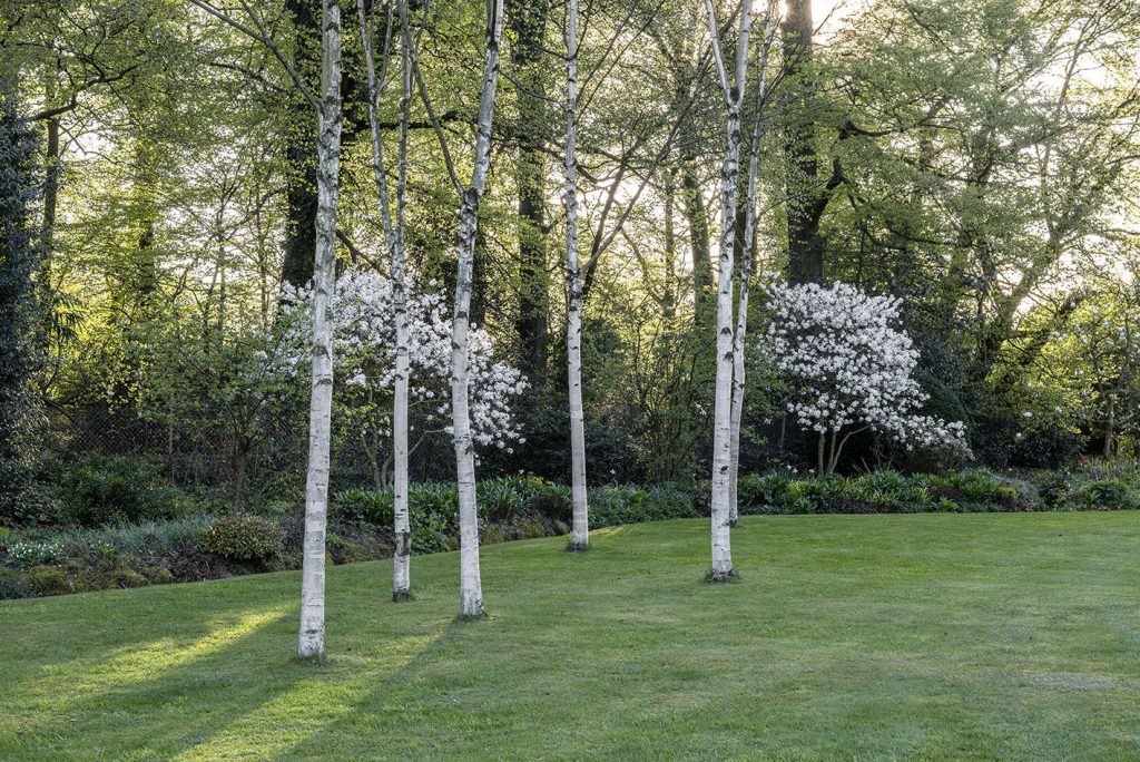 Garden – Peter Janke Gartenkonzepte