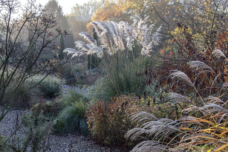 Peter Janke Gartenkonzepte – Garden Plannning, Perennial Nursery, Floristry