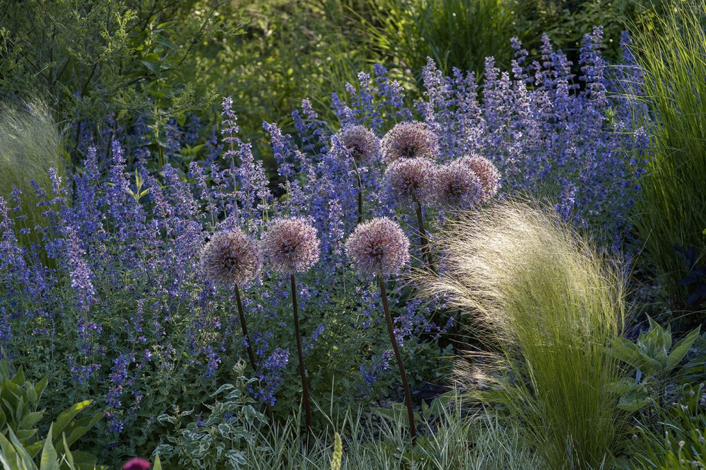 Peter Janke Gartenkonzepte – Gartenplanung, Staudengärtnerei, Floristik