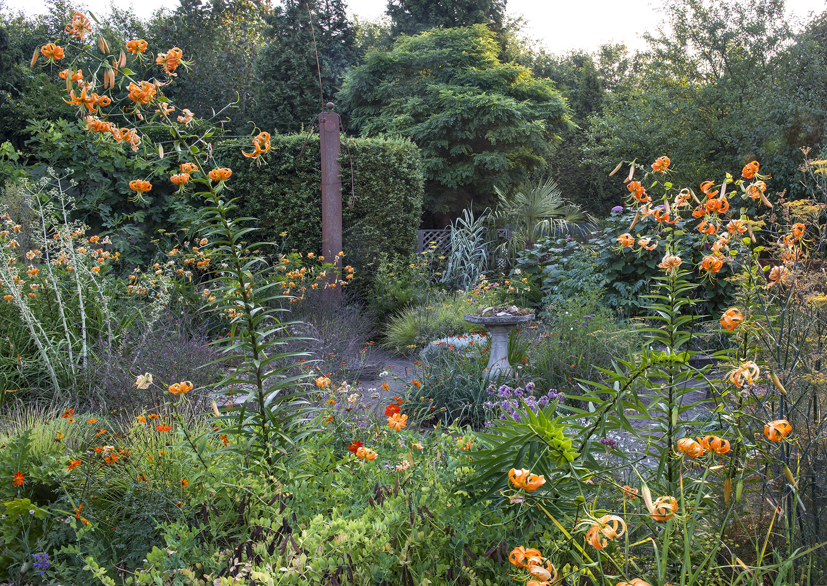 Garden – Peter Janke Gartenkonzepte