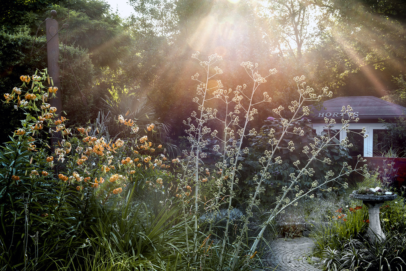 Garten – Peter Janke Gartenkonzepte