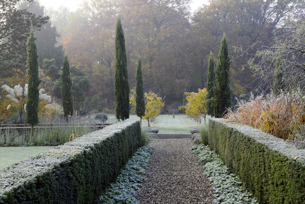 Garden – Peter Janke Gartenkonzepte