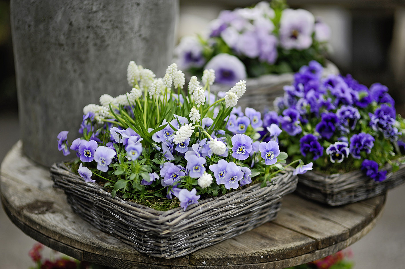 Galerie – Peter Janke Gartenkonzepte