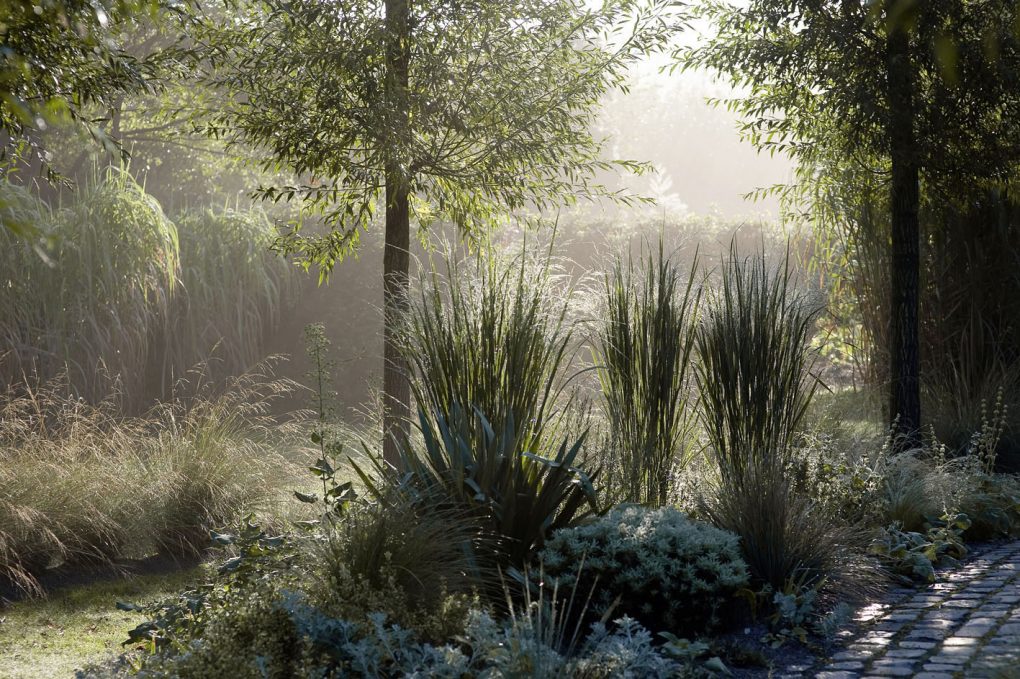 Peter Janke Gartenkonzepte – Garden Plannning, Perennial Nursery, Floristry